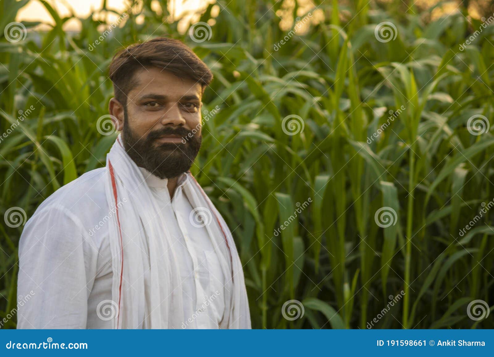 Indian Farmer in Front of Fodder Field Stock Image - Image of ...