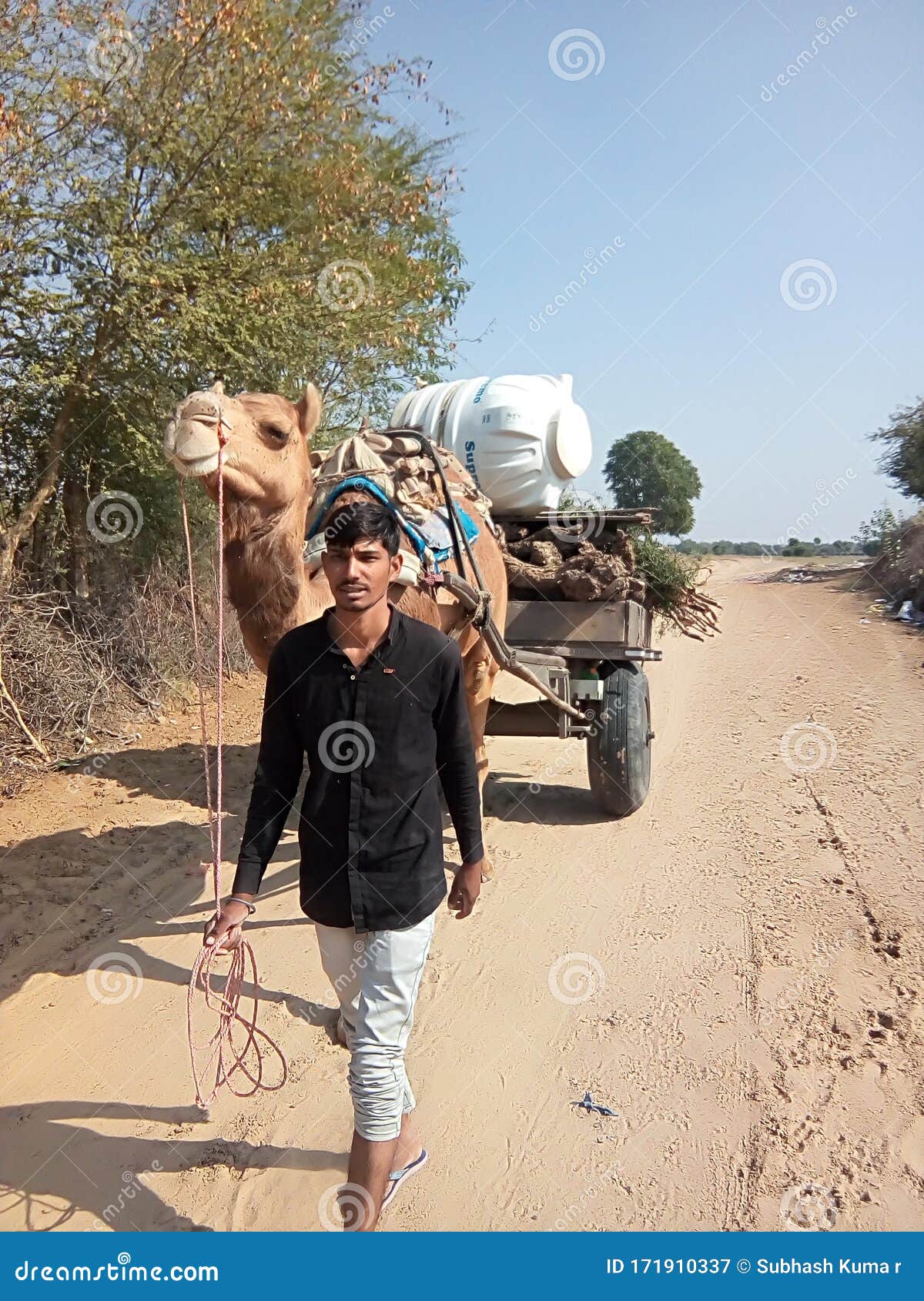 Indian Farmer in Rajasthan Hard Work Editorial Photography - Image of ...