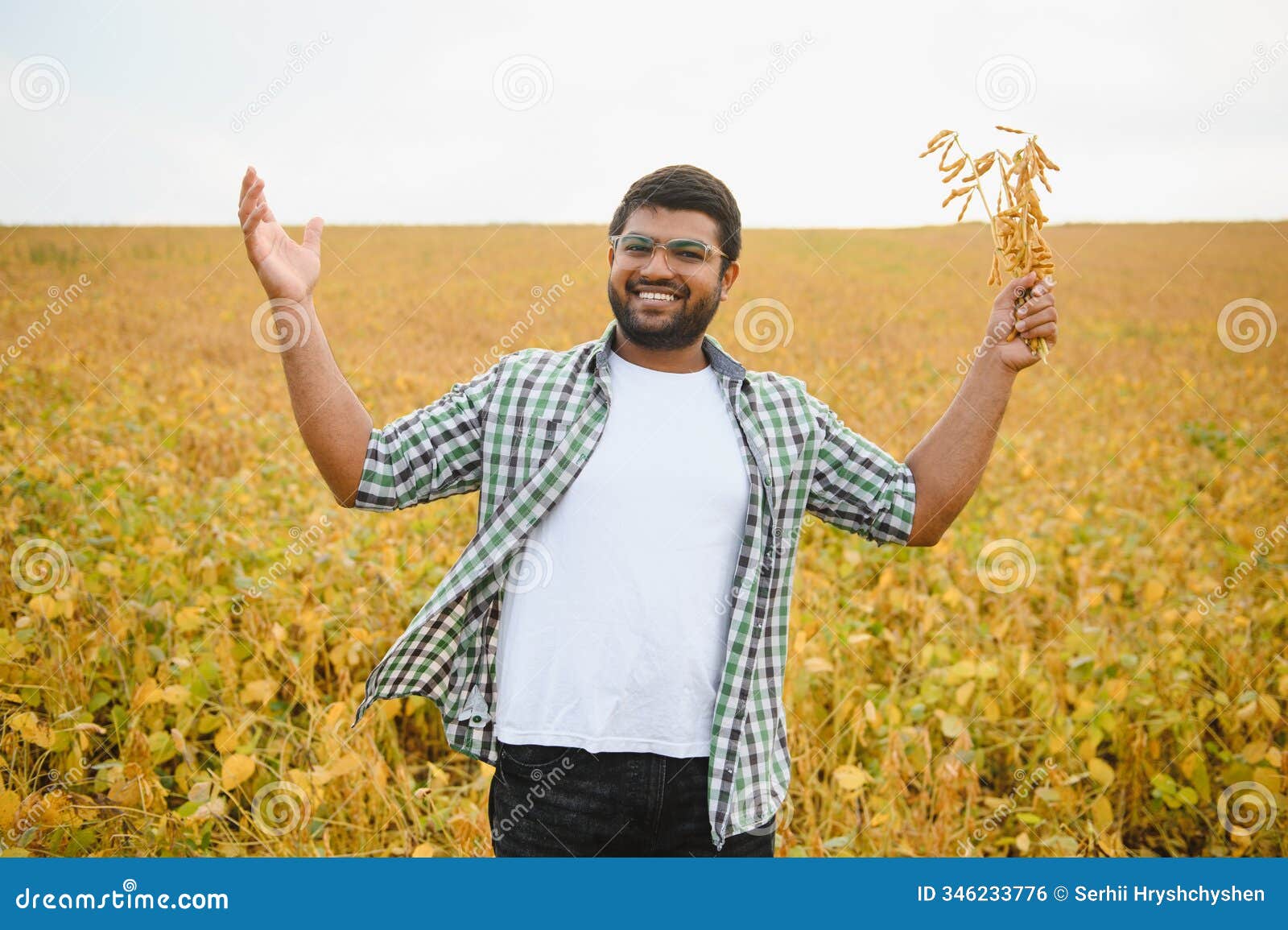An Indian Farmer in a Soybean Field Stock Photo - Image of vegetation ...
