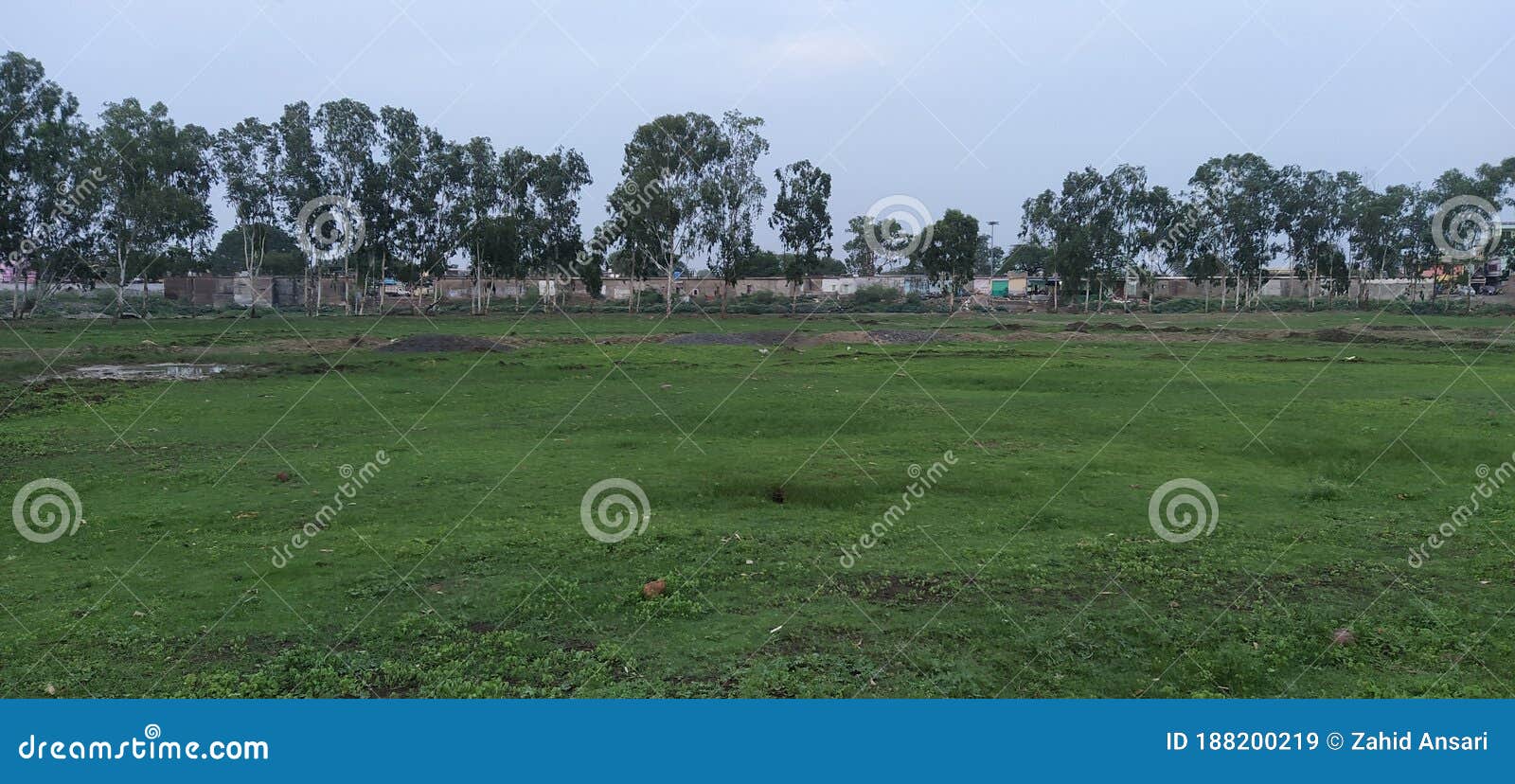 Indian feild with grass stock image. Image of grass - 188200219