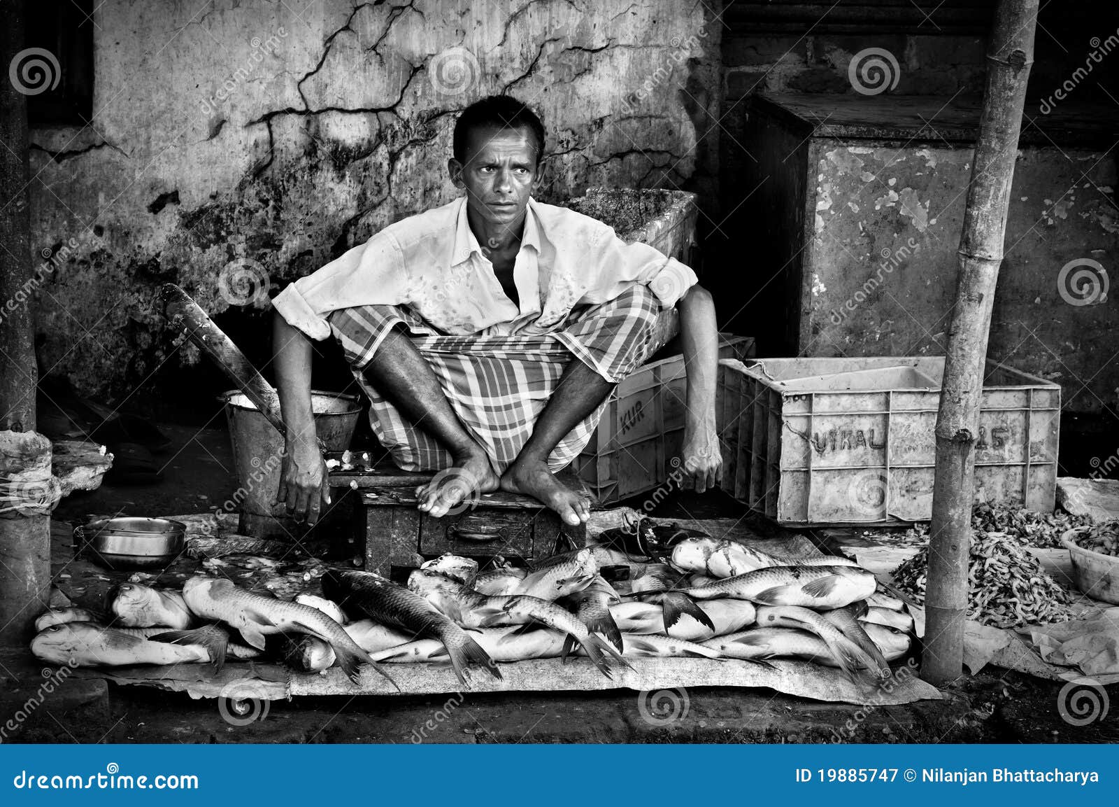 Indian Daily Fish Market At Rayagada Editorial Image | CartoonDealer ...