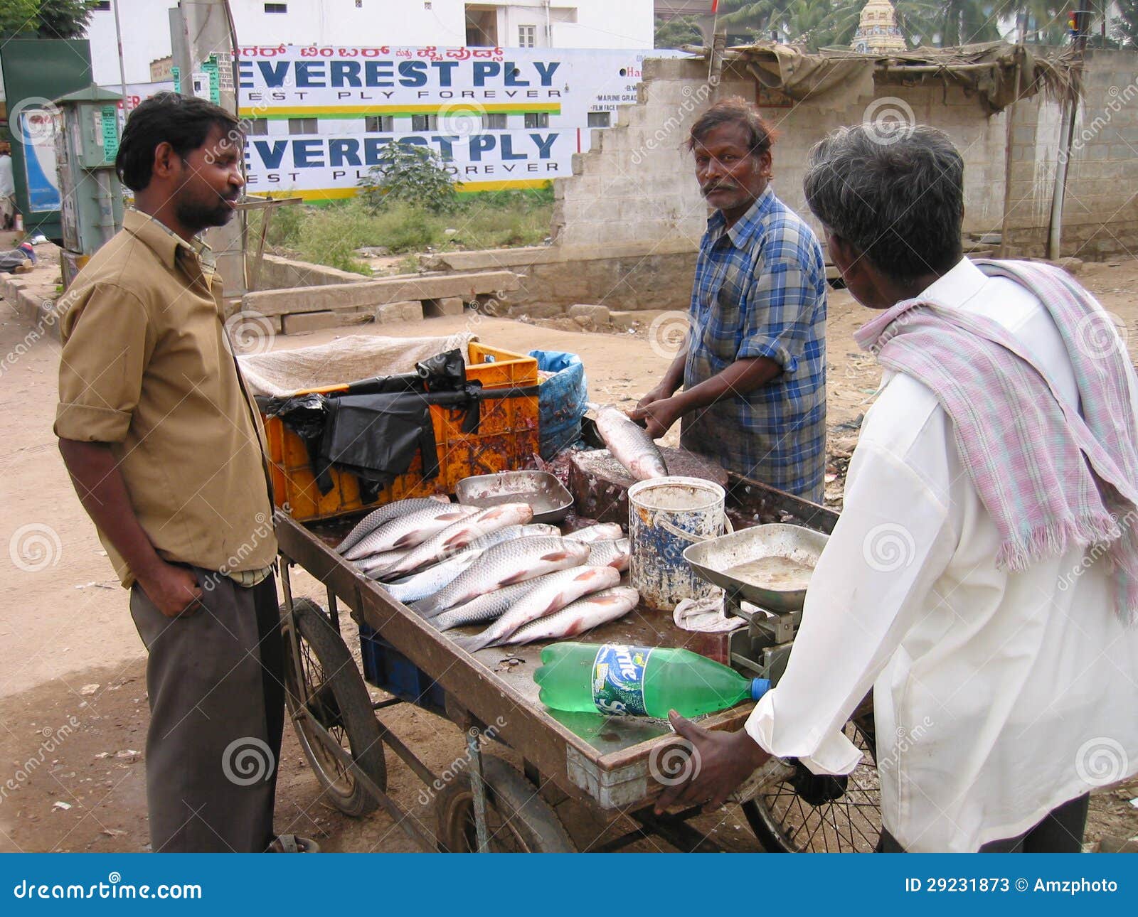 Indian Fish Monger editorial stock photo. Image of fish - 29231873