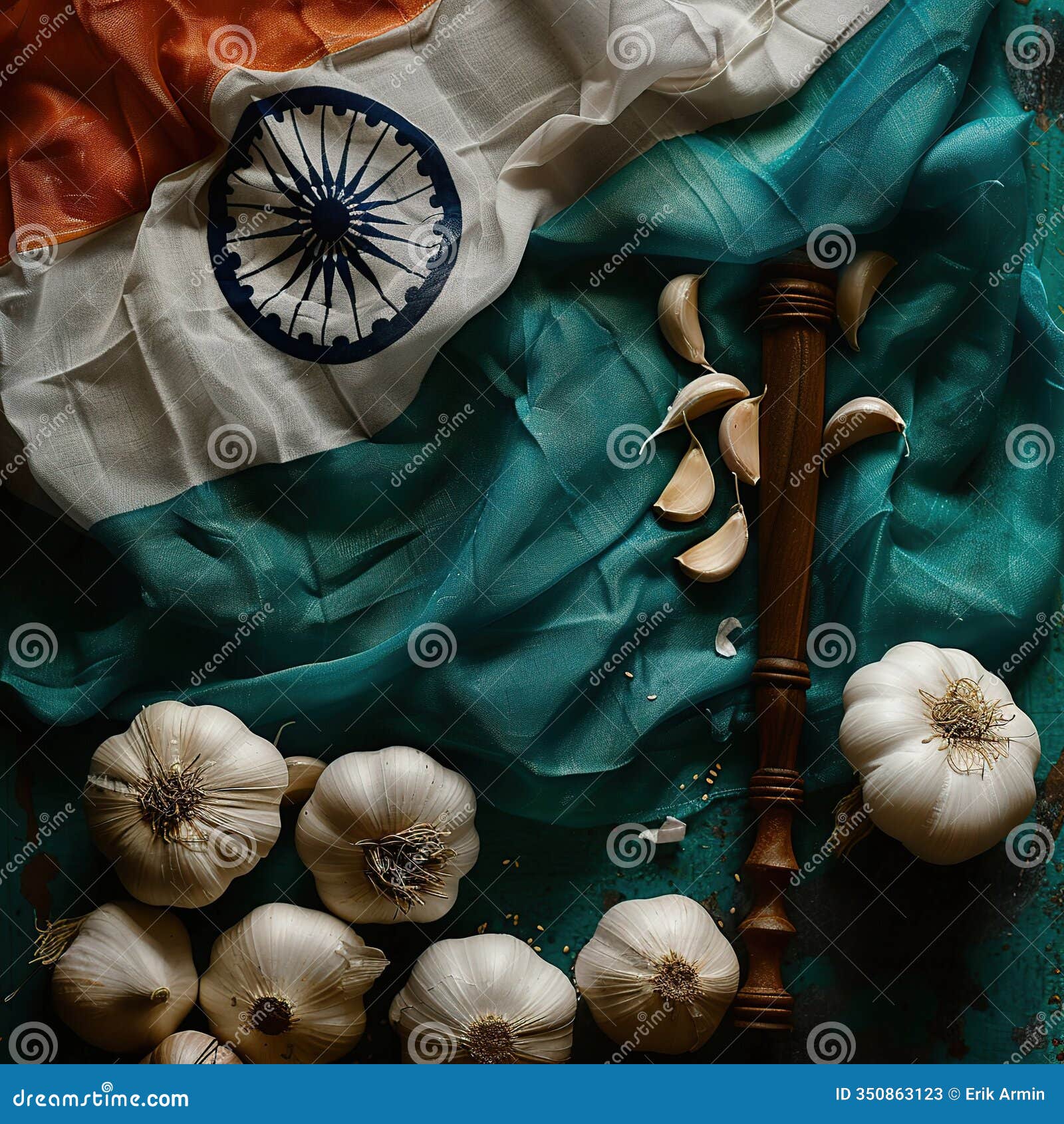 Indian Flag Draped Over Garlic Bulbs and Cloves Stock Illustration ...