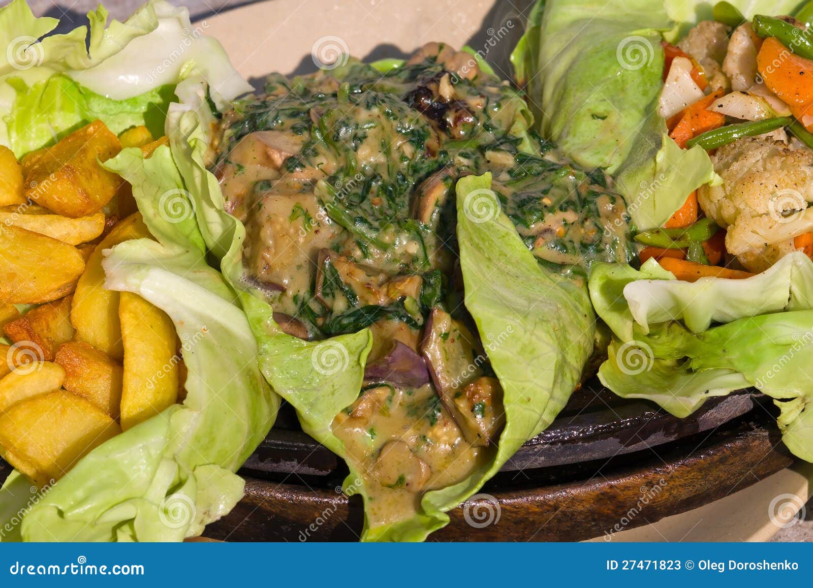 Indian food Sizzler stock image. Image of cabbage, indian - 27471823