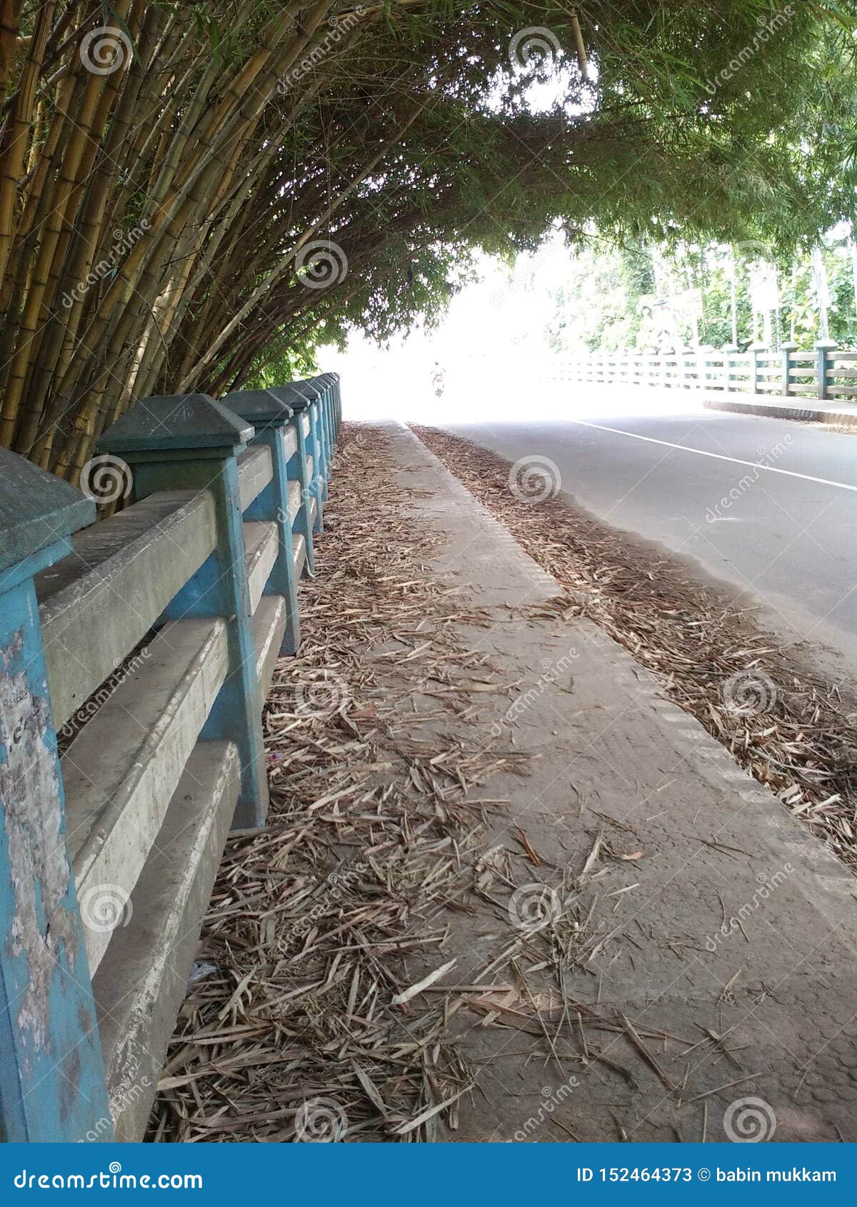 Indian Footpath on Bridge Side with Tree Stock Image - Image of ...