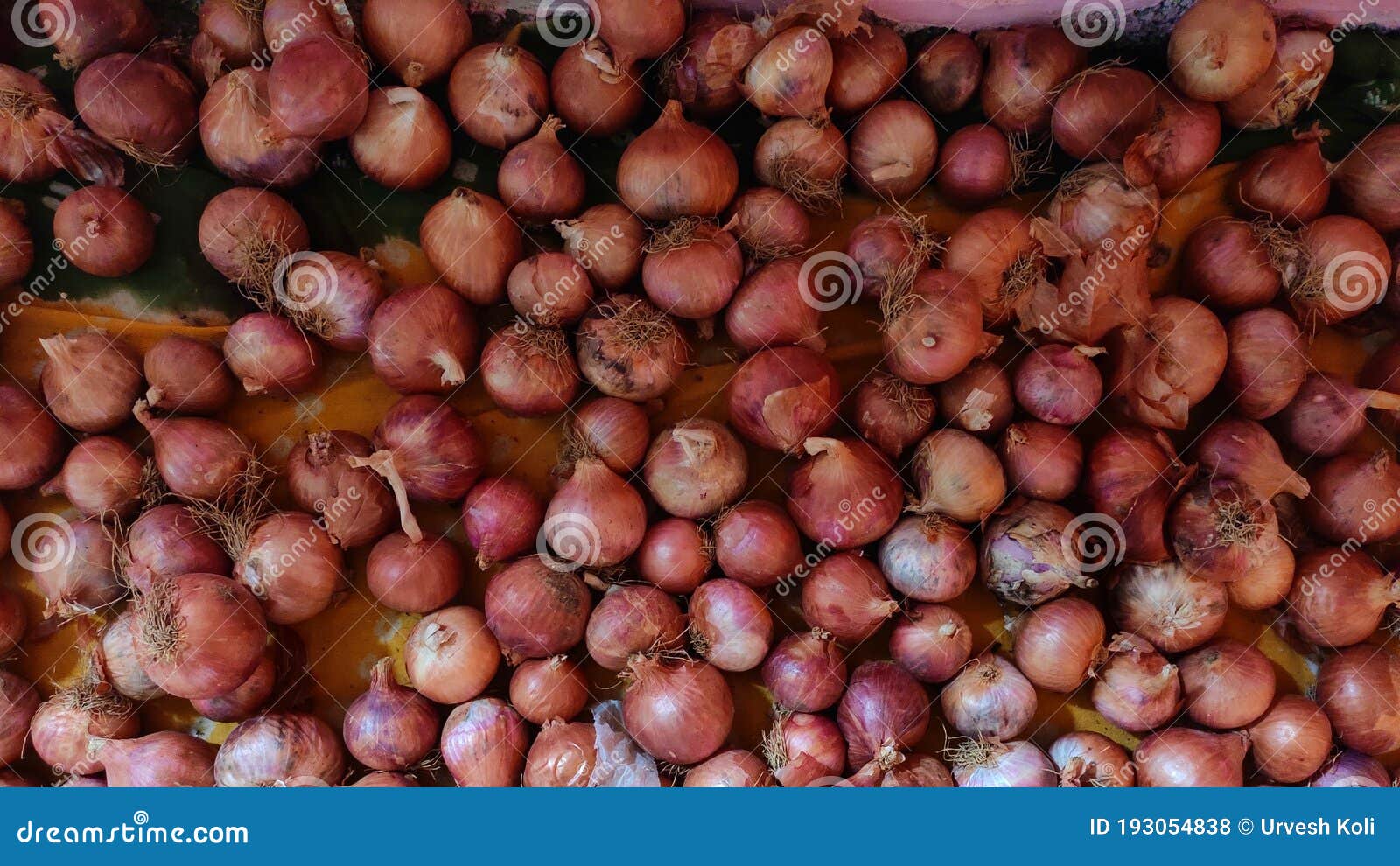 Indian Fresh Red Indian Onions, Pyaz Stock Photo - Image of ingredient ...