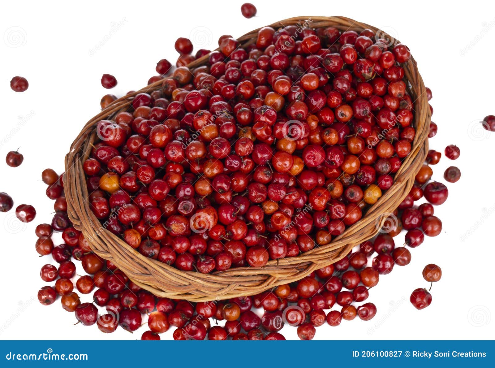 Indian Fruit Red Berry on White Background Stock Image - Image of fresh ...