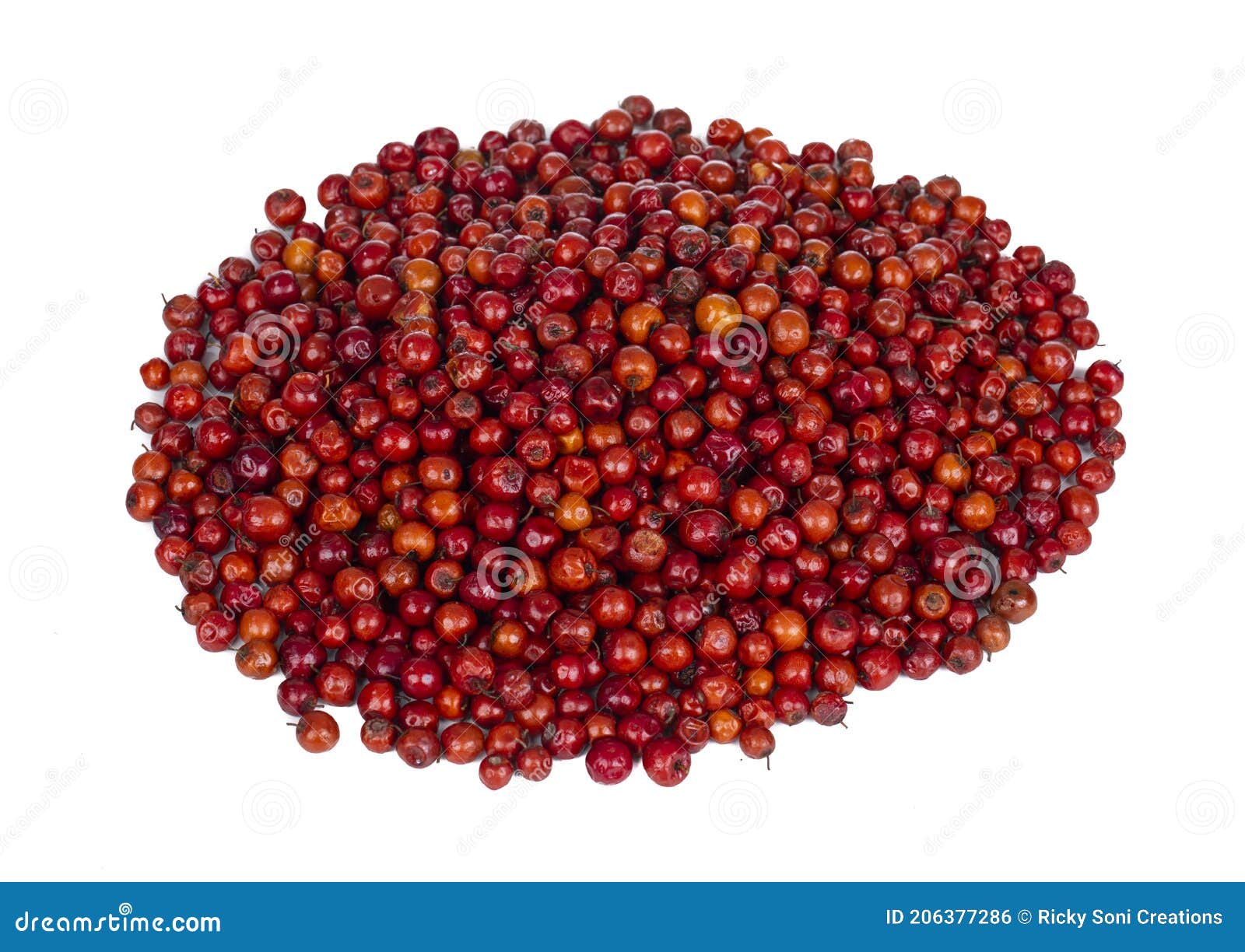Indian Fruit Red Berry on White Background Stock Photo - Image of ...
