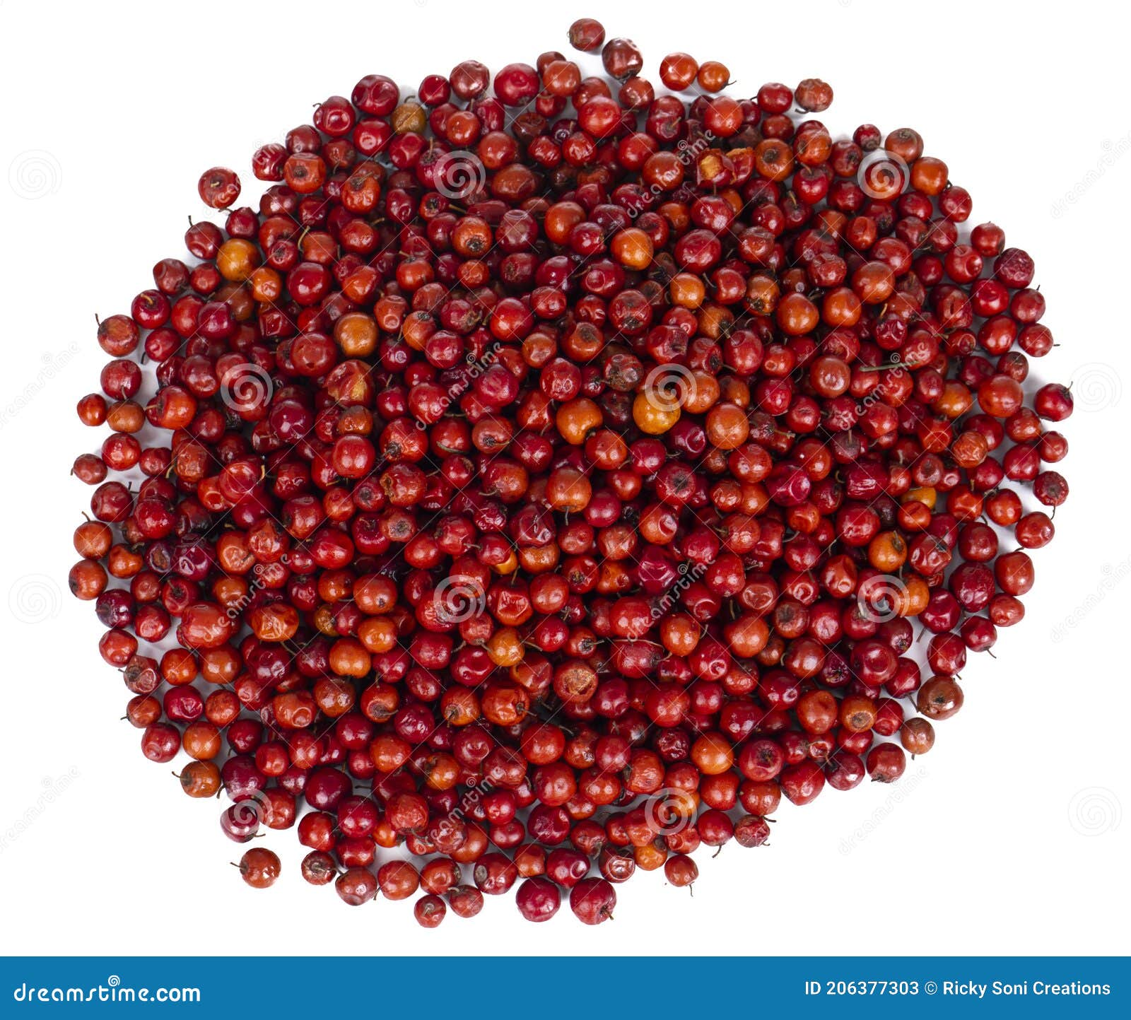 Indian Fruit Red Berry on White Background Stock Image - Image of ...