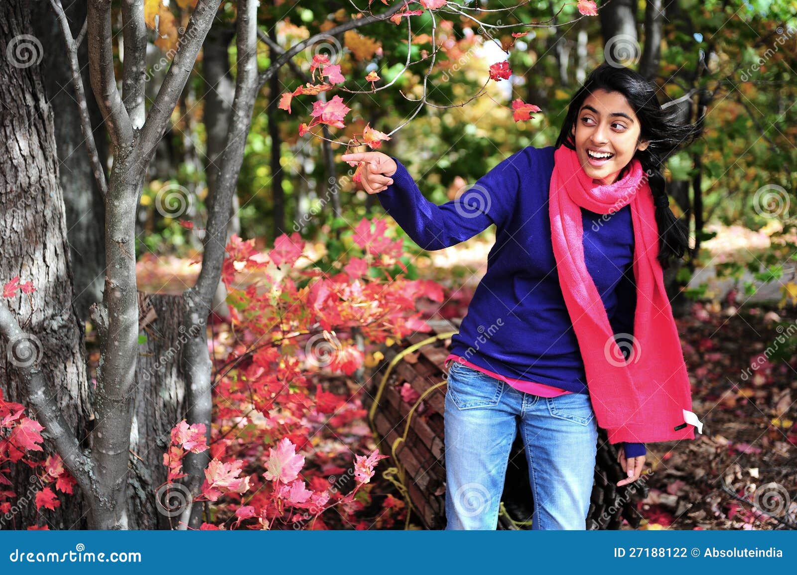 Indian Girl in Fall Season stock photo. Image of leaf - 27188122