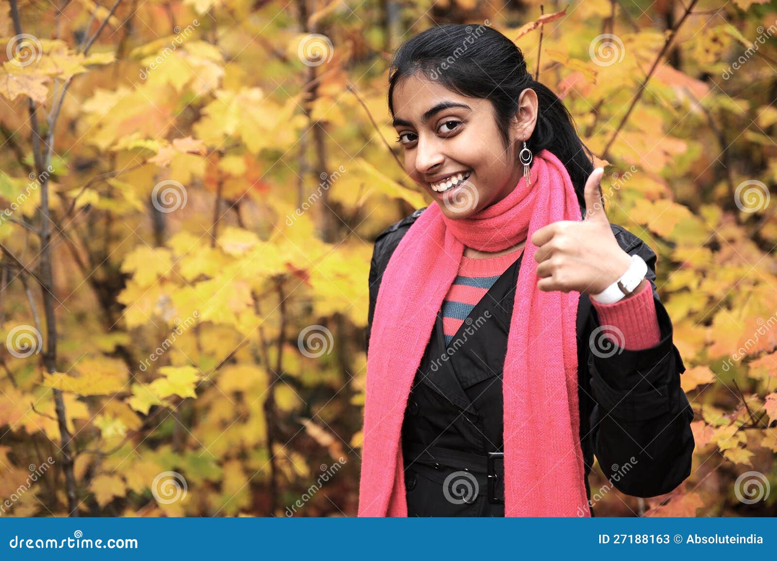 Indian Girl in Fall Season stock image. Image of beauty - 27188163