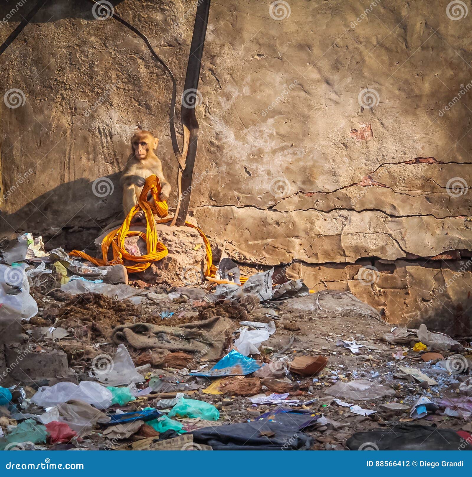 Gold Monkey Pyramid Stock Image | CartoonDealer.com #120265057