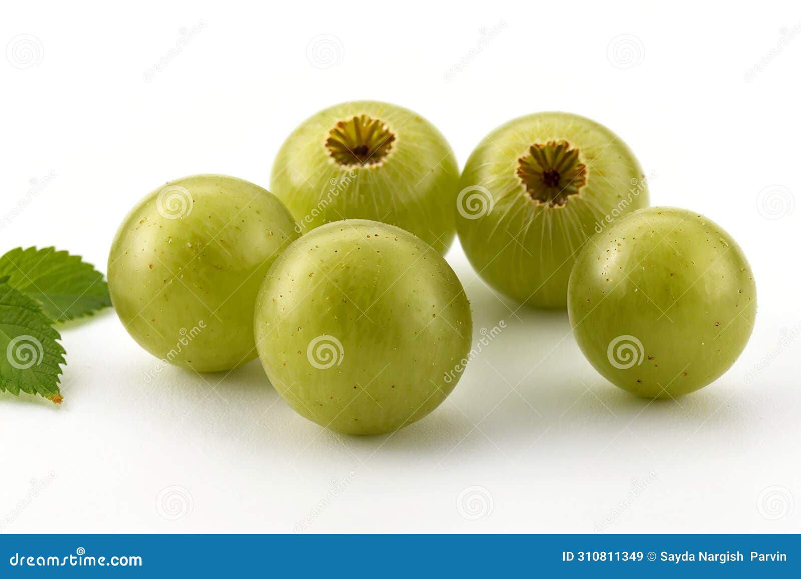 Indian Gooseberry,cut Out on White Background Stock Illustration ...