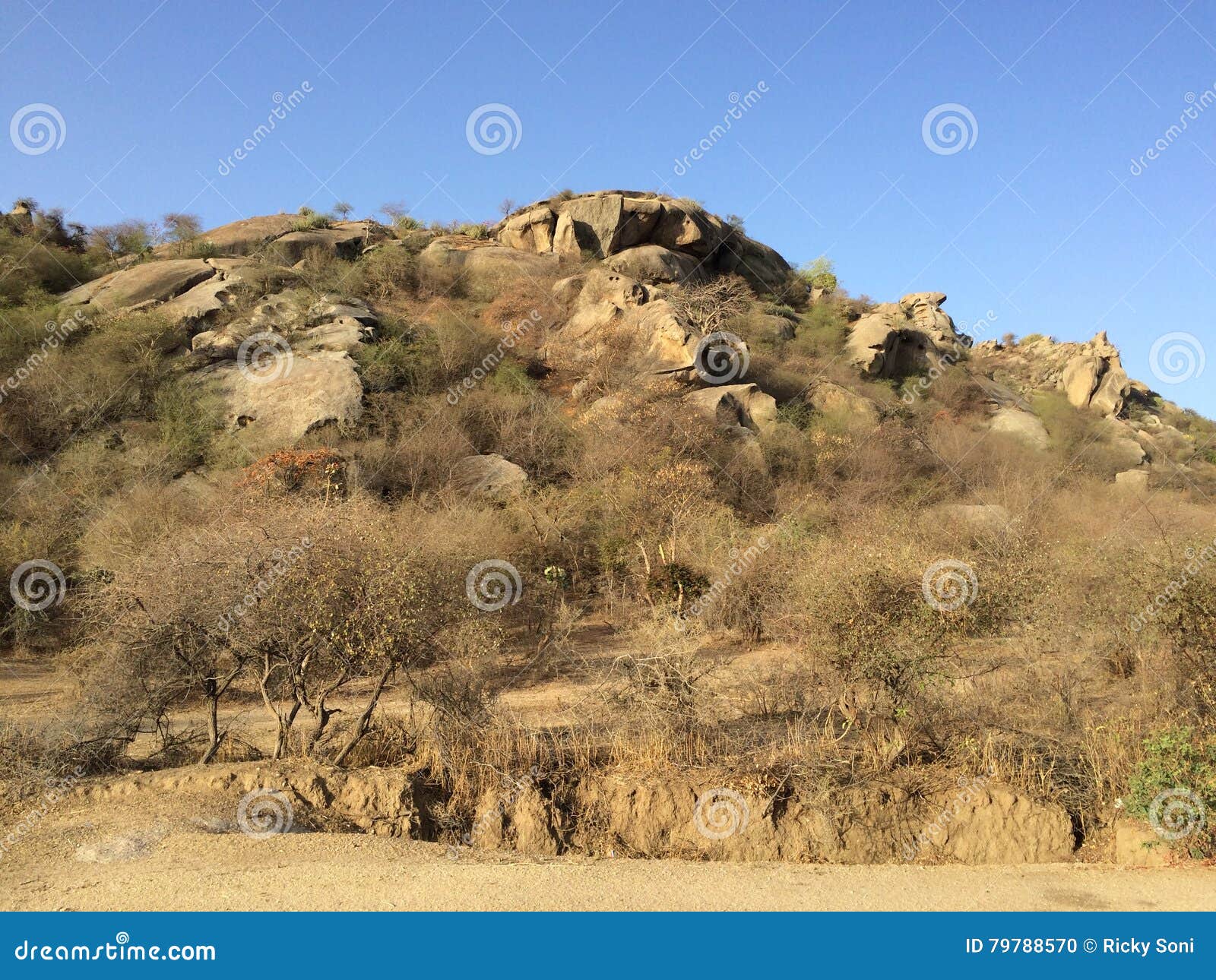 Indian green landscape stock photo. Image of mountain - 79788570