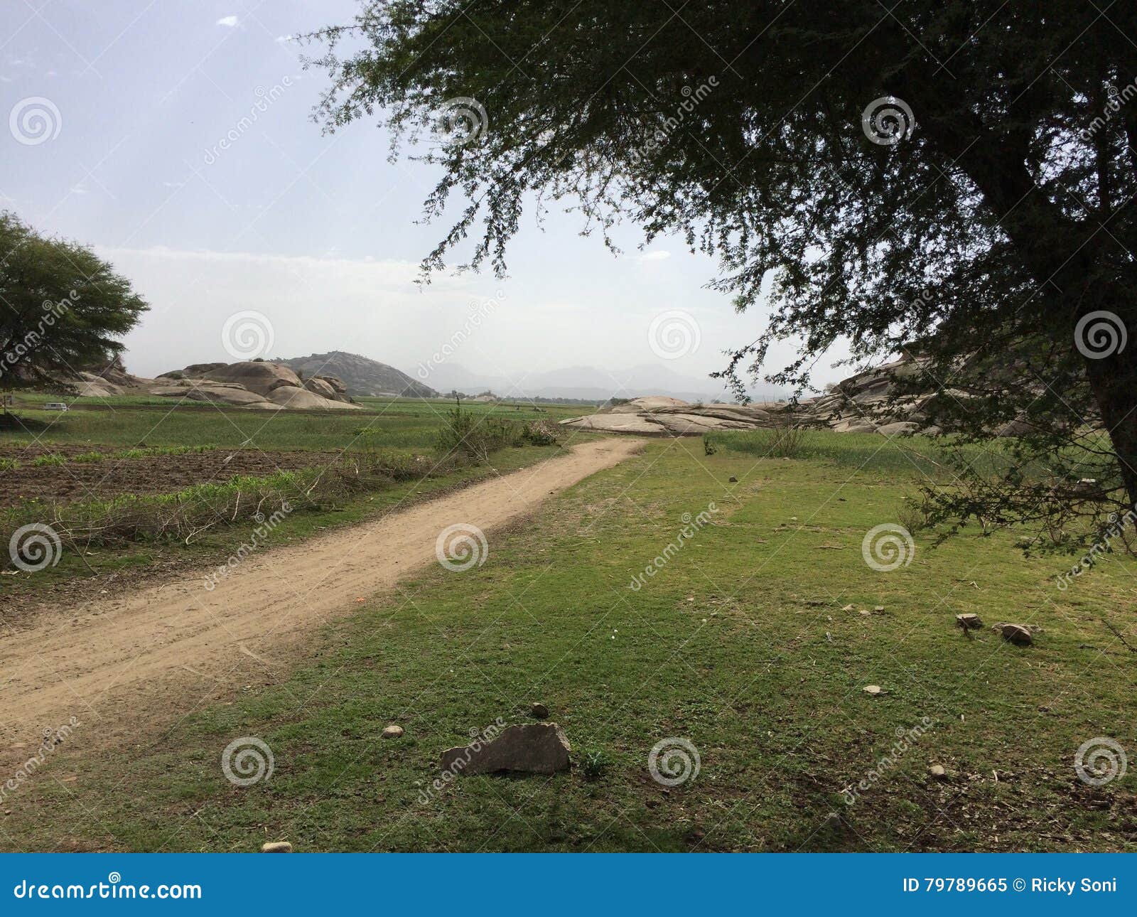 Indian green landscape stock image. Image of agricultural - 79789665