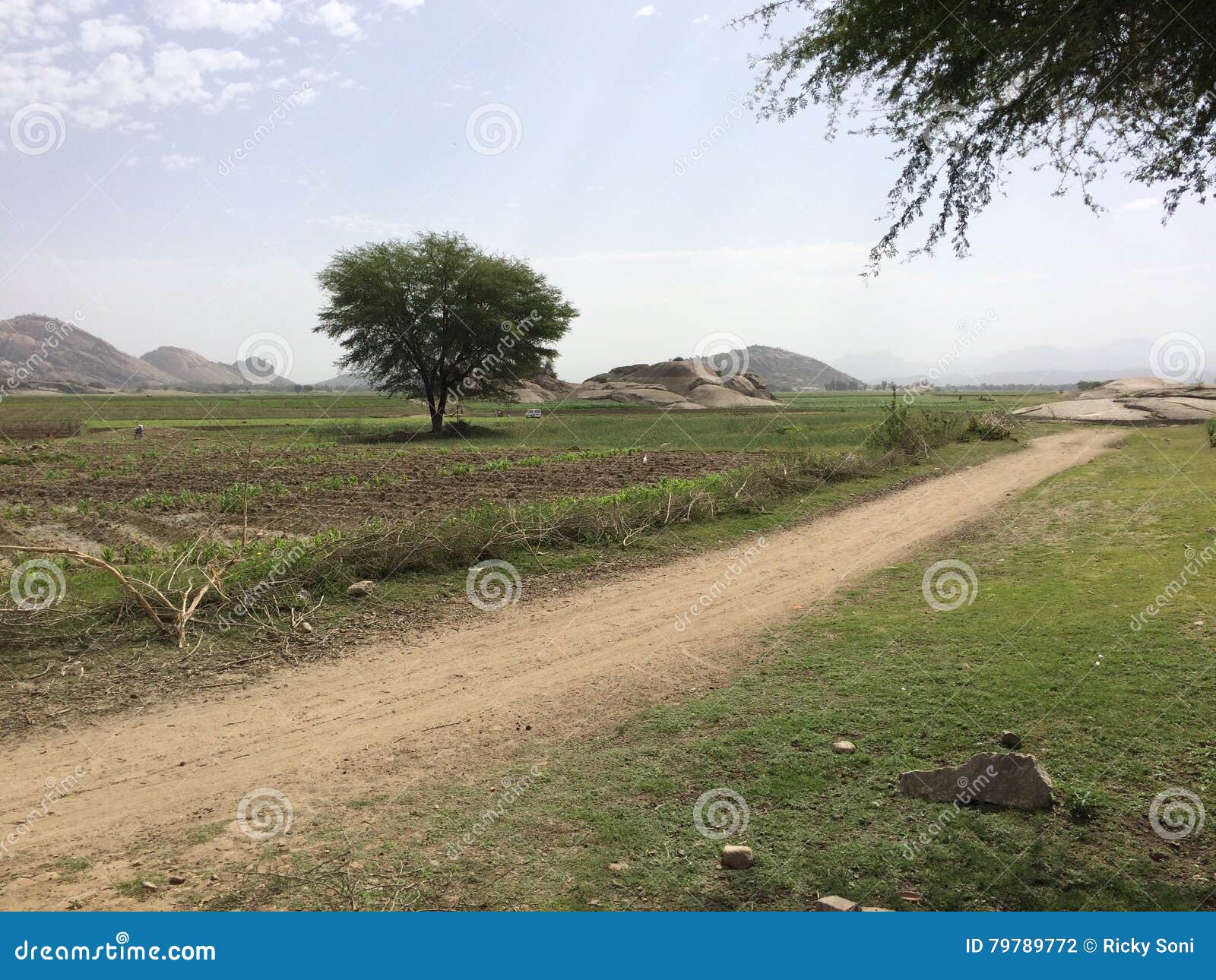 Indian green landscape stock photo. Image of nature, asia - 79789772