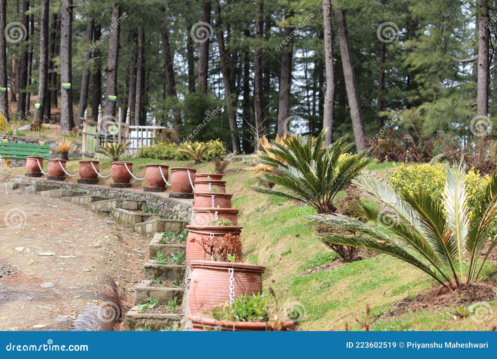 Indian greenery stock image. Image of trail, beautiful - 223602519