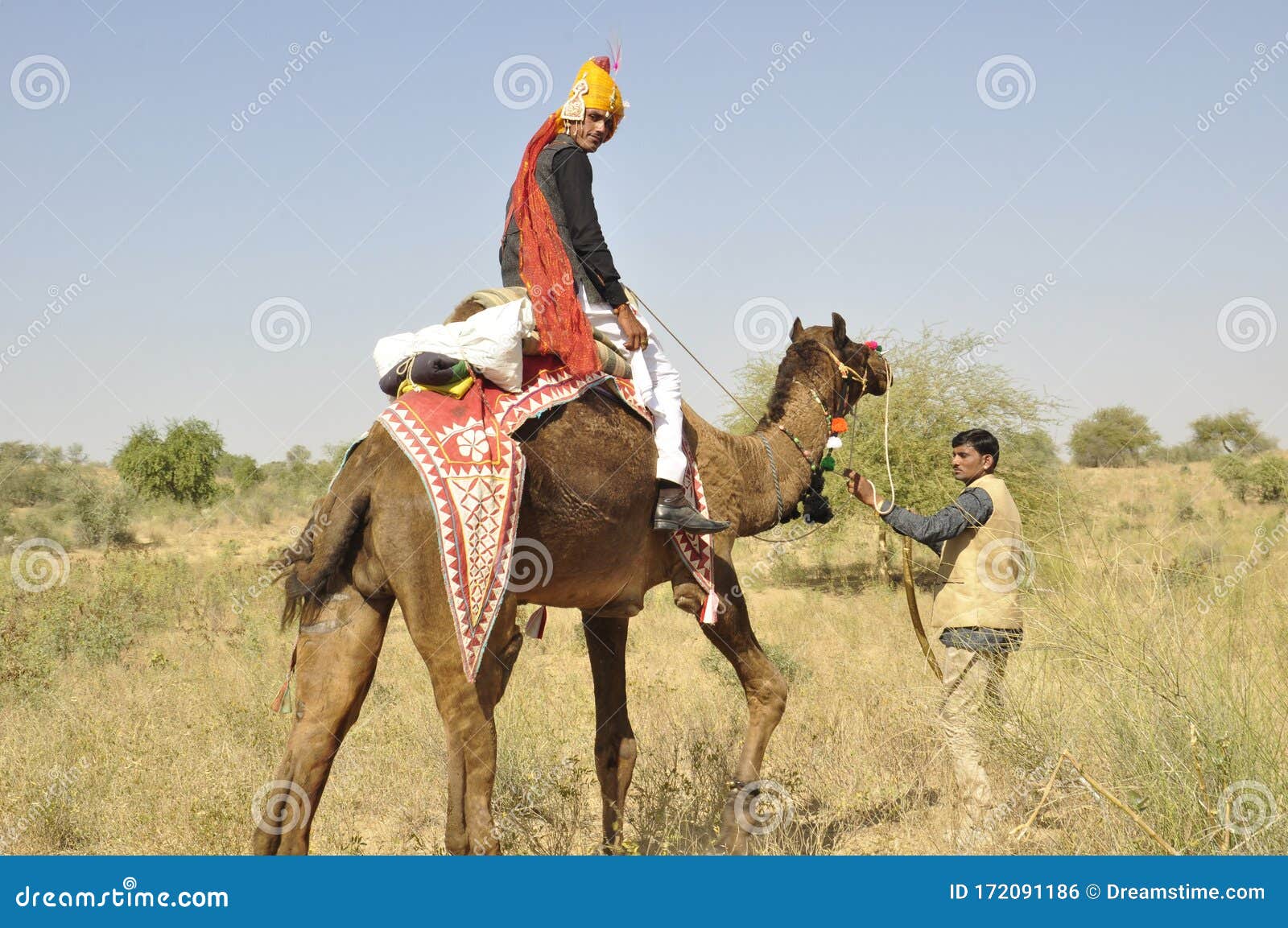 Indian Groom on Camel Looking Back Editorial Photo - Image of riding ...