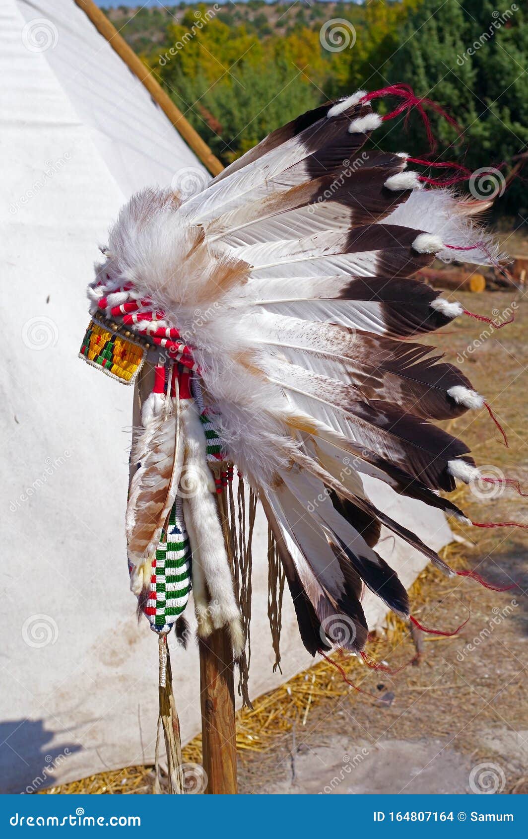 Indian hat with feathers stock photo. Image of aboriginal - 164807164