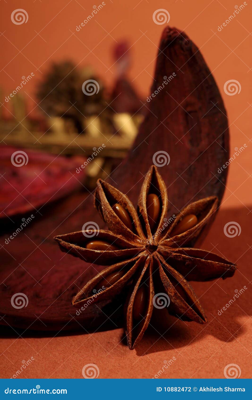 Indian herb anise star stock photo. Image of dried, ingredient - 10882472