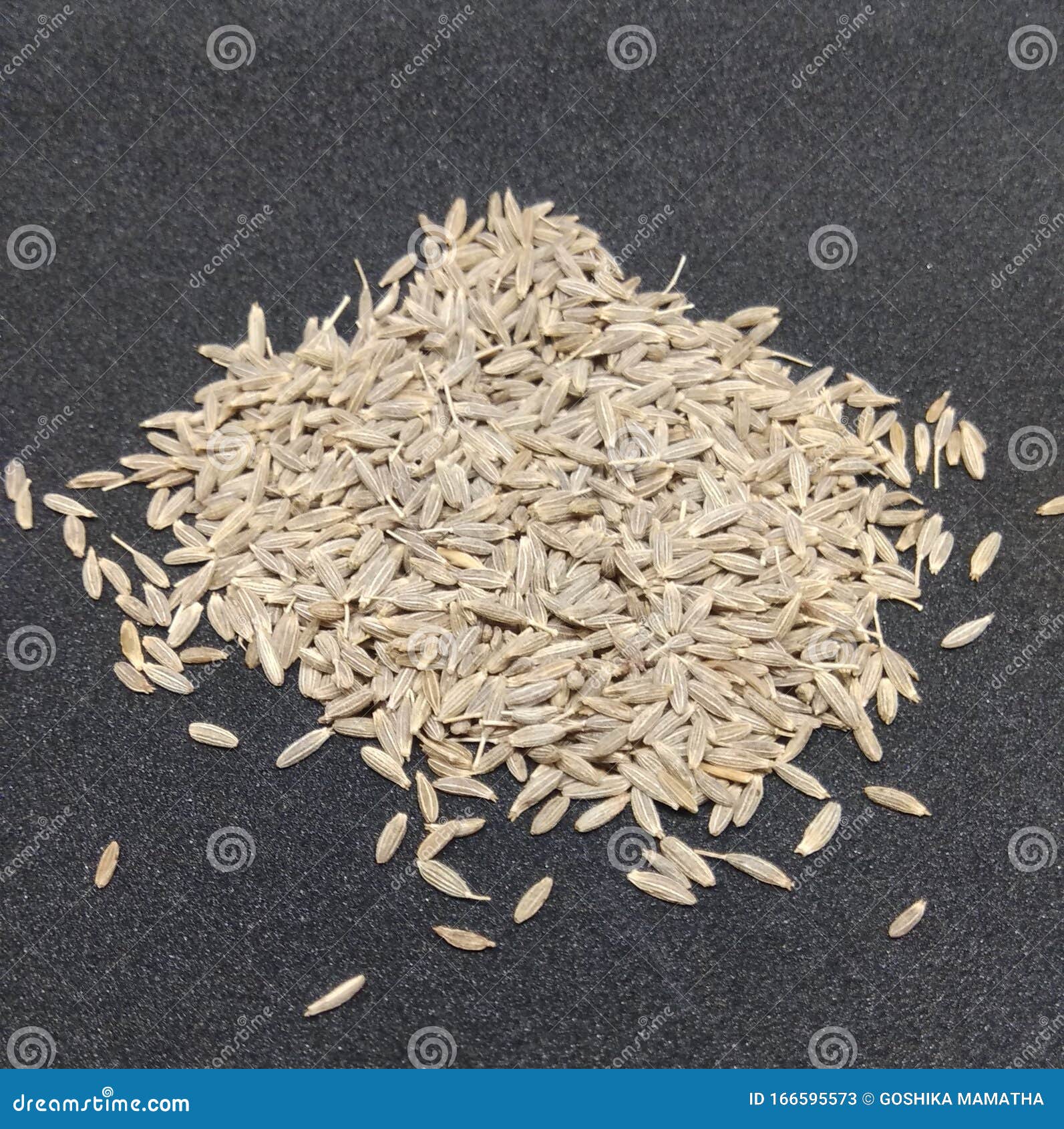 Indian Kitchen, Food Ingredients Zeera Stock Image - Image of kitchen ...