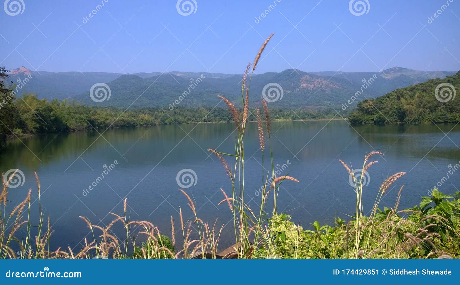 Indian Konkan Beautiful Dam Stock Image - Image of knkan, beautiful ...