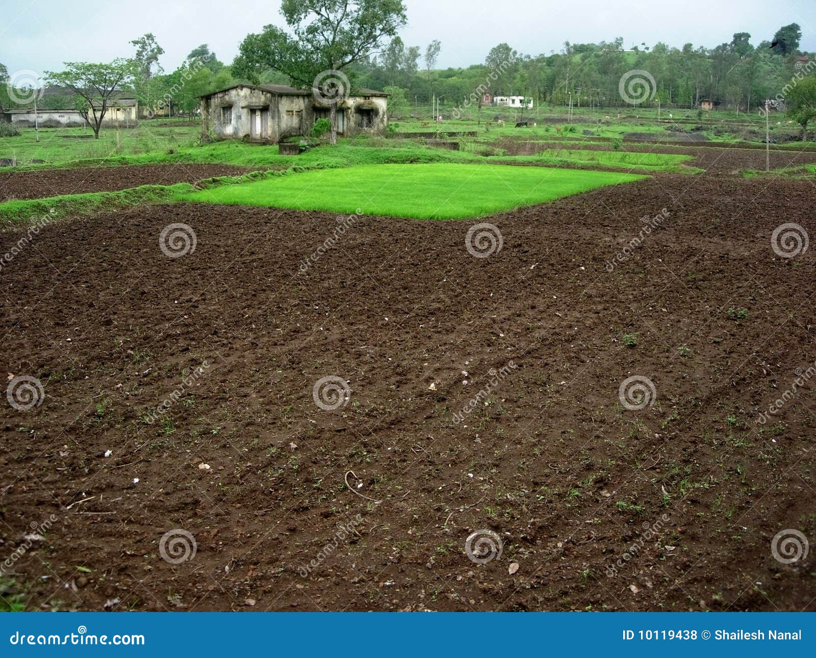 Indian land stock photo. Image of color, black, cultivation - 10119438