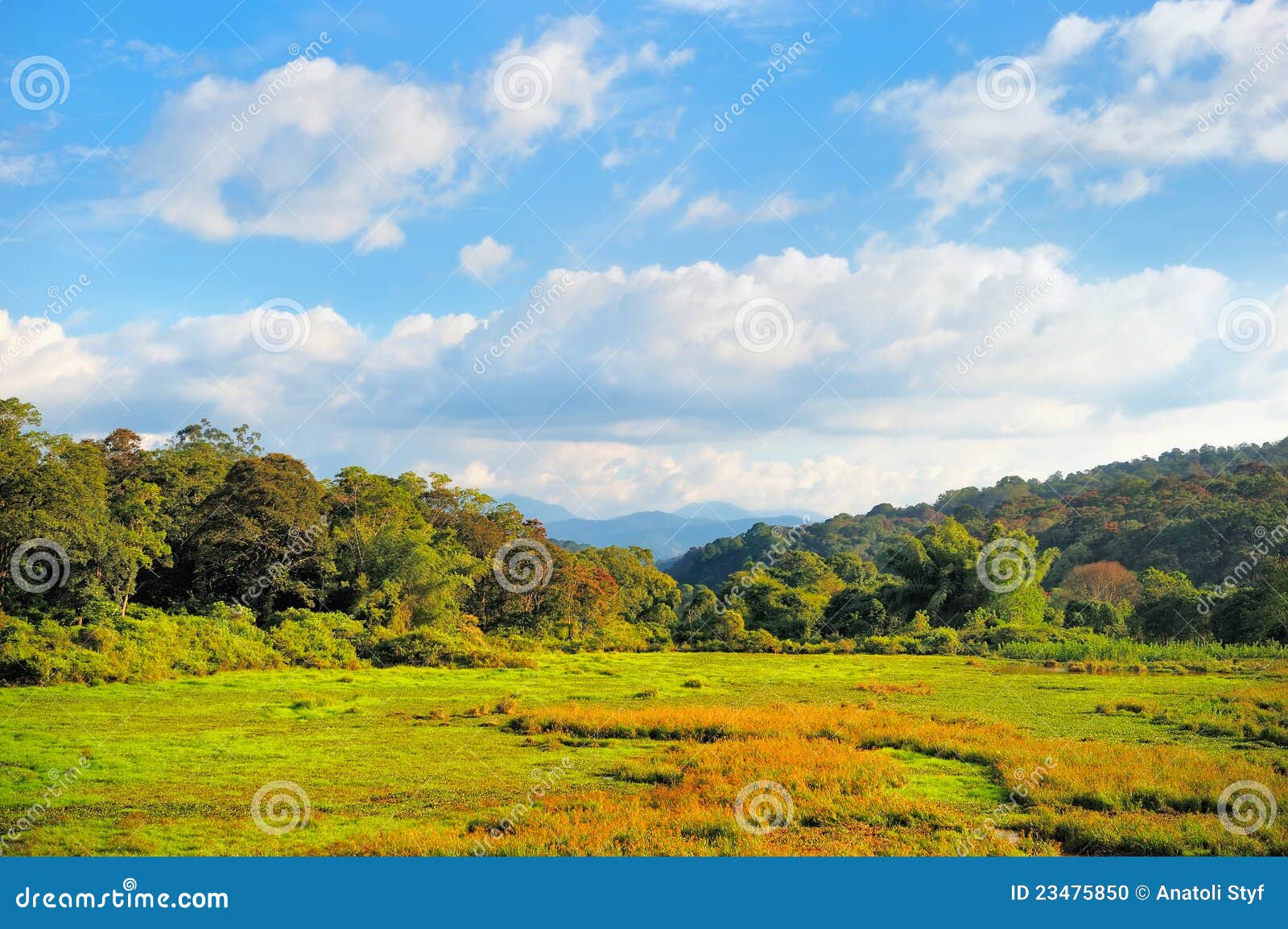 Indian Land stock photo. Image of landscape, ecology - 23475850