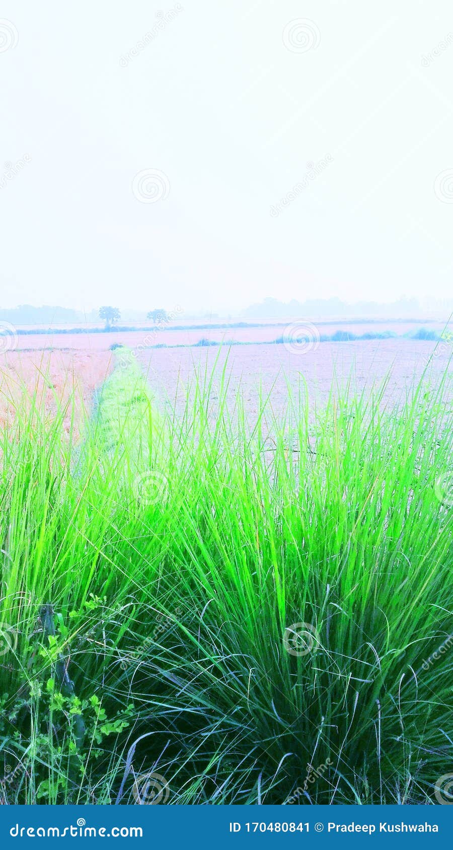 Indian Land Beautiful Image Stock Image - Image of indian, beautiful ...