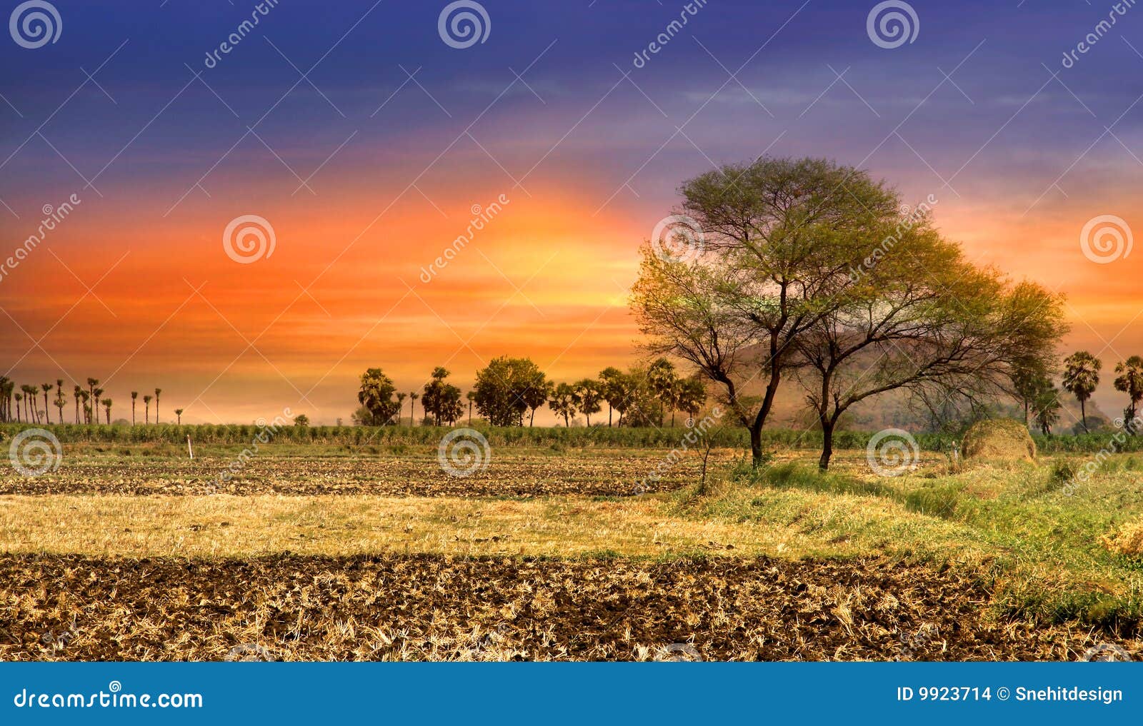 Indian Landscape stock photo. Image of alone, farm, line - 9923714
