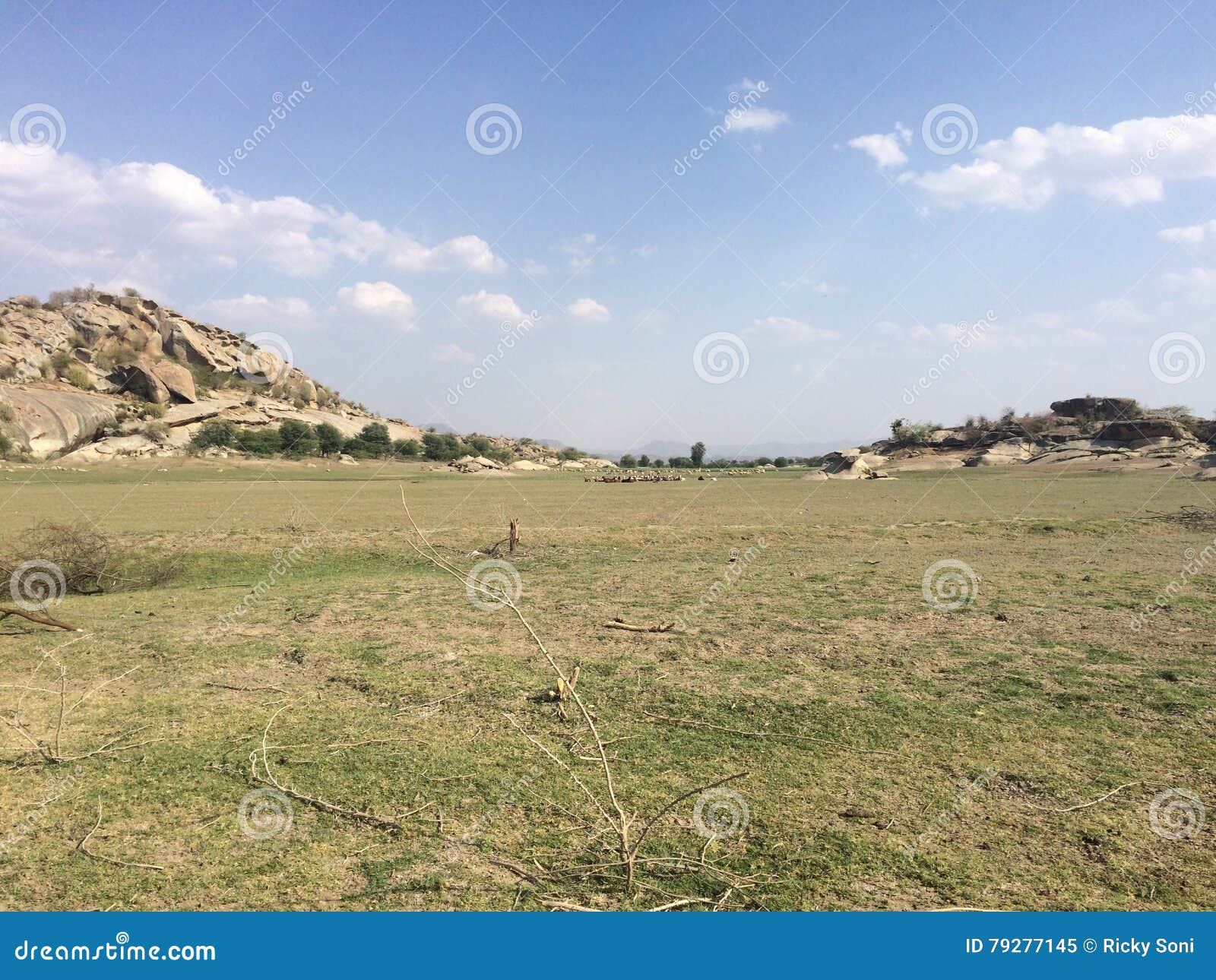 Indian landscape stock image. Image of landscape, tree - 79277145