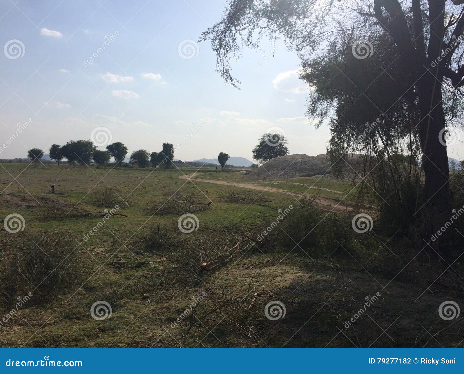 Indian landscape stock photo. Image of hill, pasture - 79277182