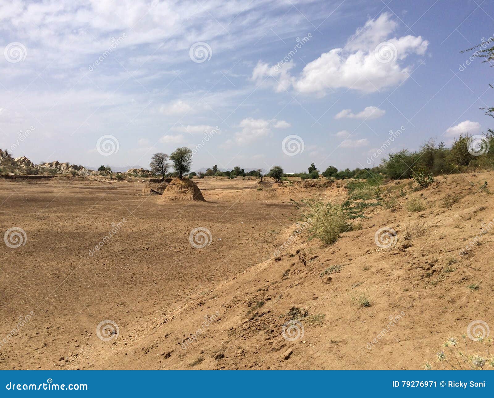 Indian landscape stock image. Image of sand, grass, tree - 79276971
