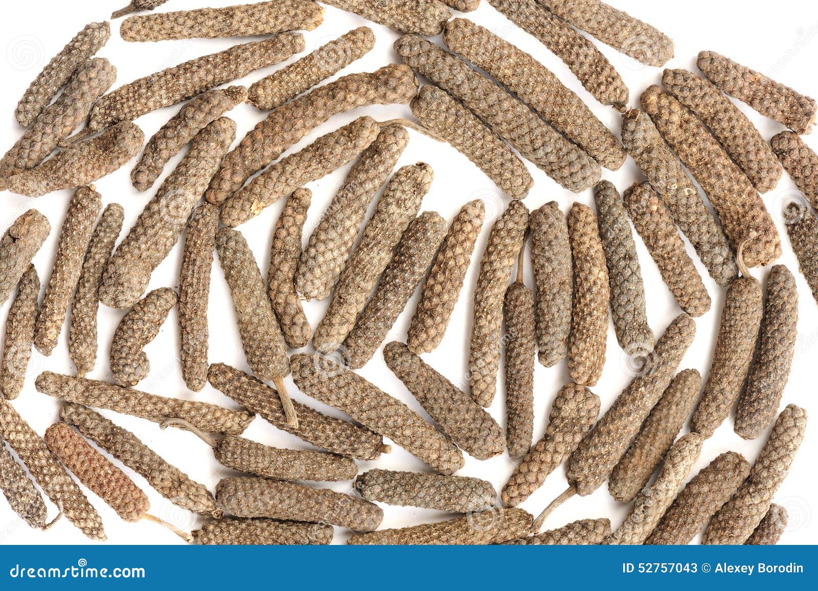 Indian Long Pepper, Piper Longum Isolated Stock Image - Image of black ...