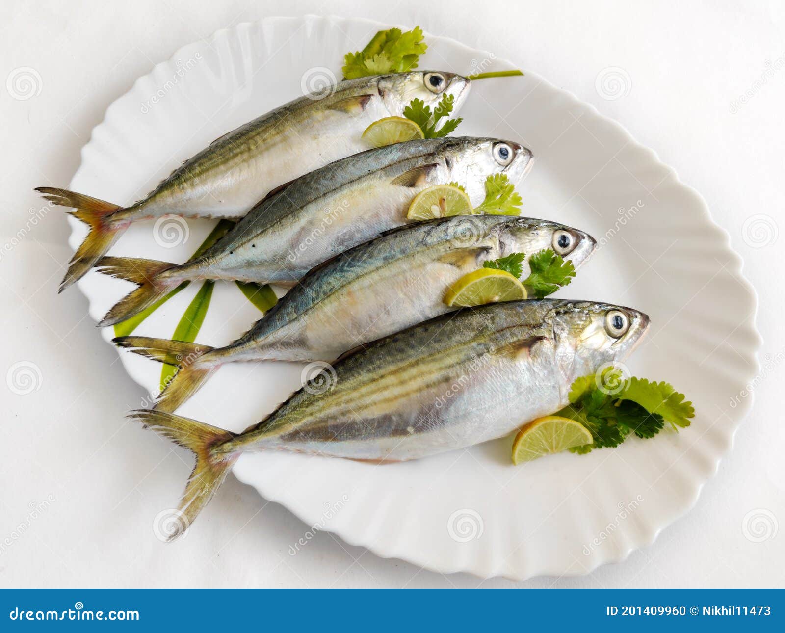 Indian Mackerel fish stock photo. Image of jerfa, gillat - 201409960