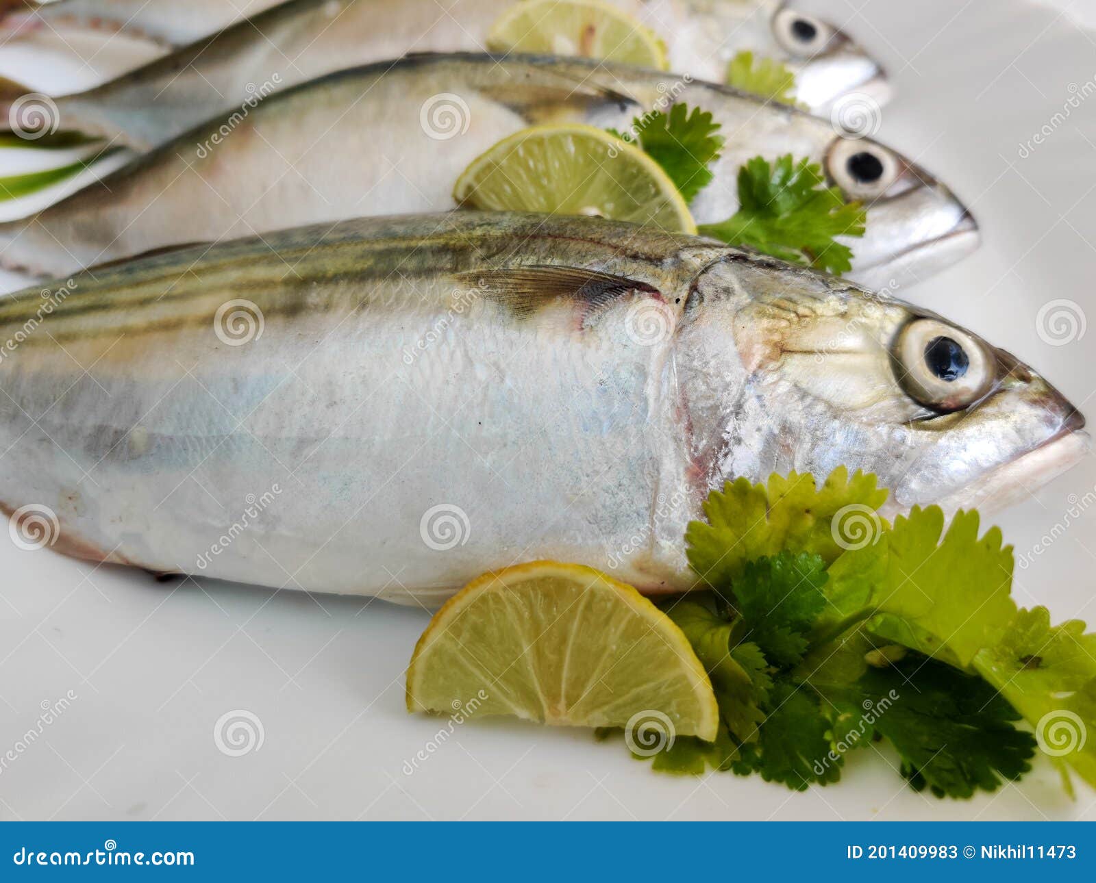Bangda Fish Stock Photos - Free & Royalty-Free Stock Photos from Dreamstime