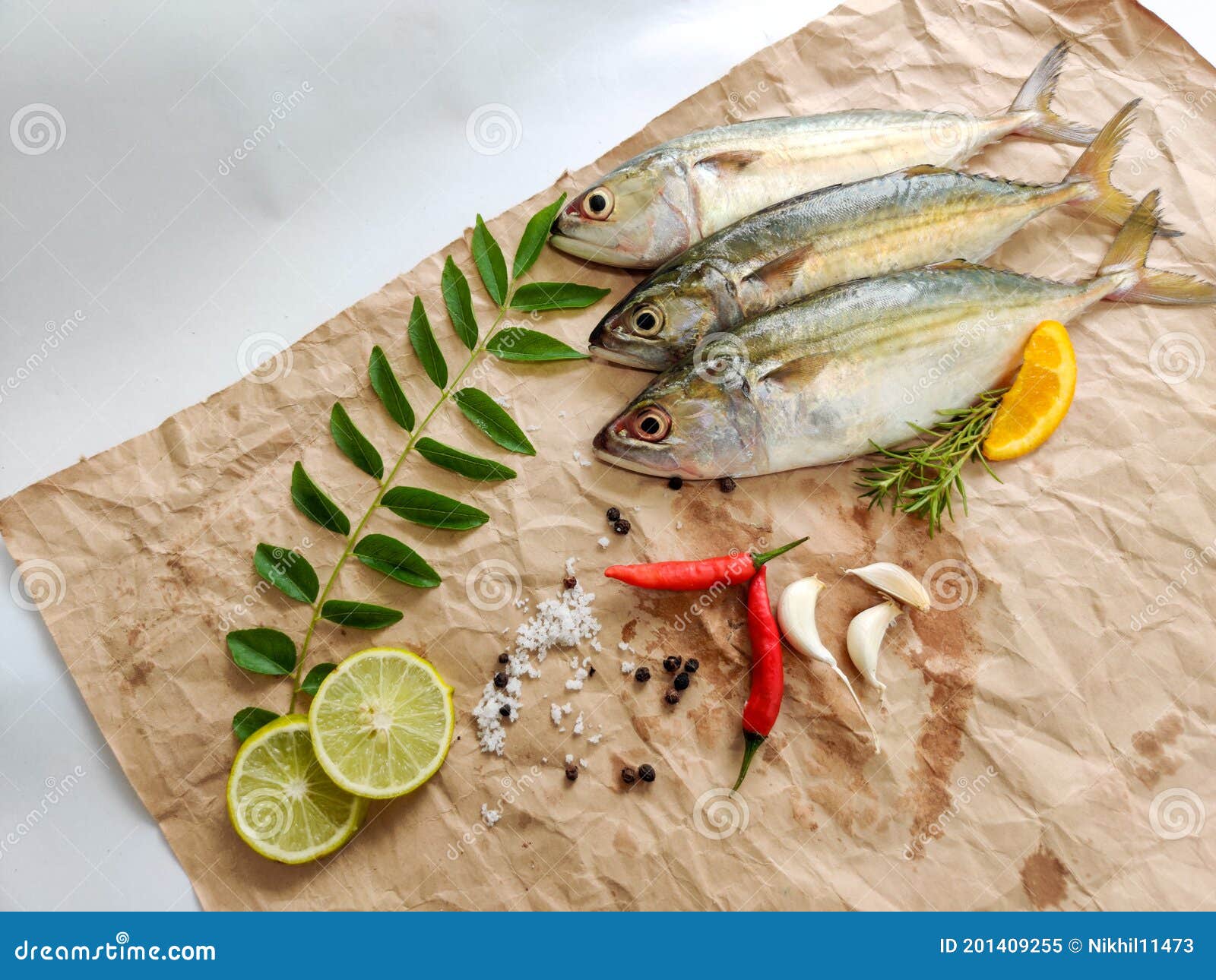 Indian Mackerel fish stock image. Image of frozen, karankita - 201409255
