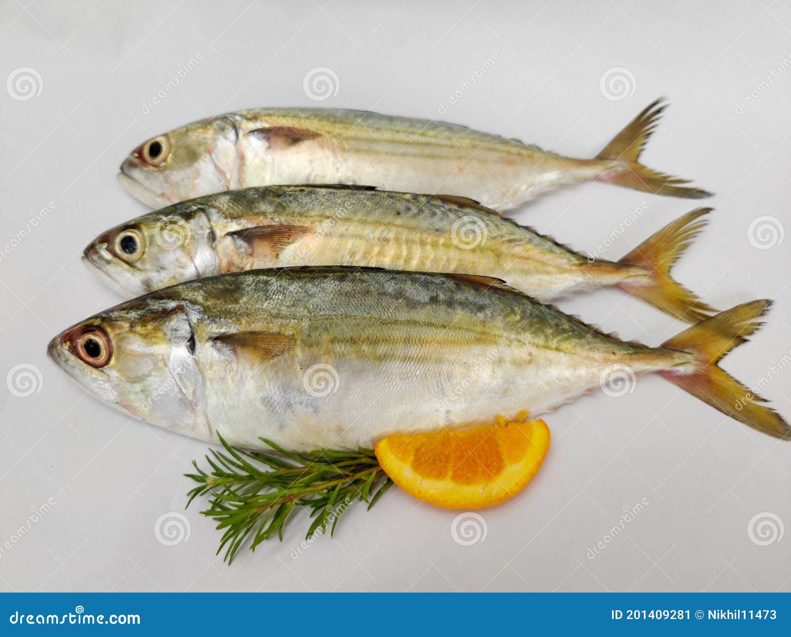 Indian Mackerel fish stock image. Image of gedar, ayla - 201409281