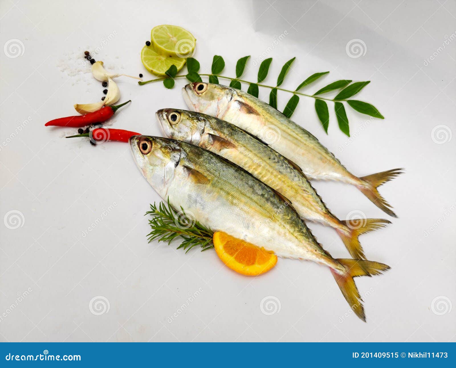 Indian Mackerel fish stock image. Image of frozen, delicious - 201409515