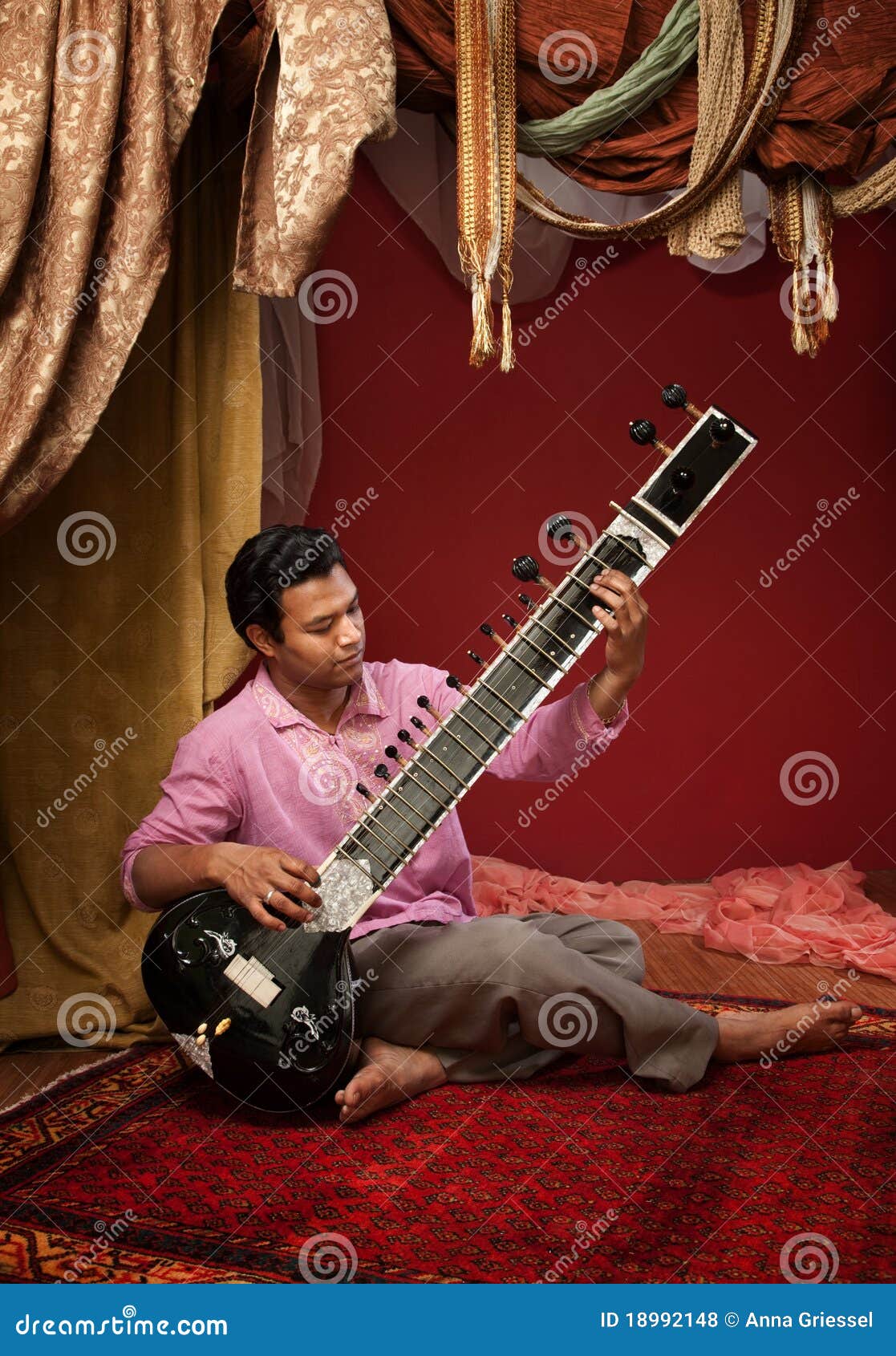 Indian Man Plays a Sitar stock photo. Image of classic - 18992148