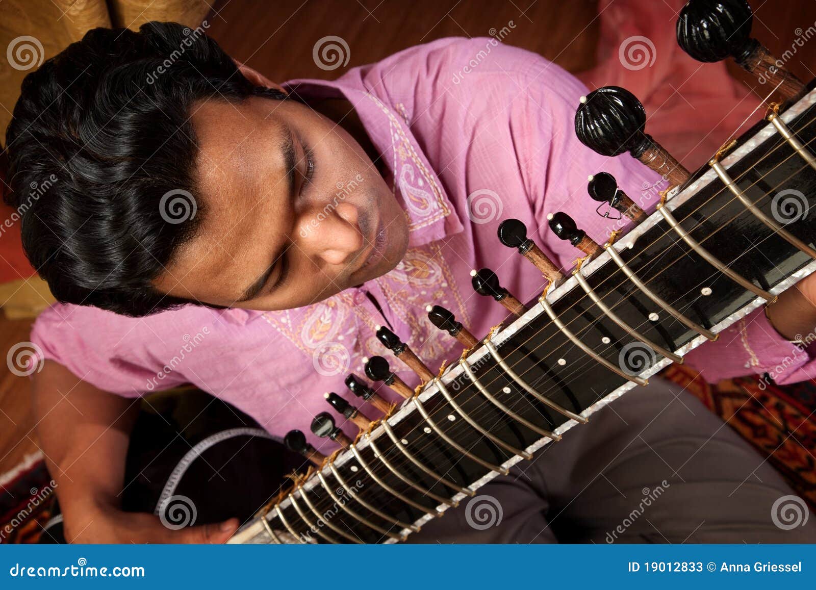 Indian Man Plays a Sitar stock image. Image of perform - 19012833