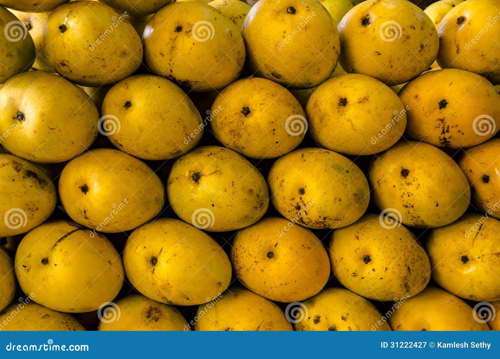 Indian Mango stock image. Image of mango, yummy, ripe - 31222427