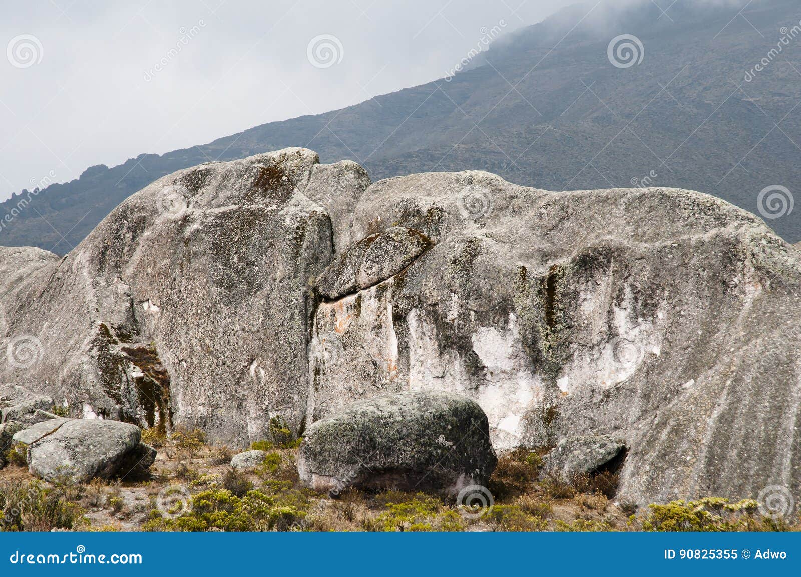 The Indian - Marcahuasi Stone Forest - Peru Stock Image - Image of ...