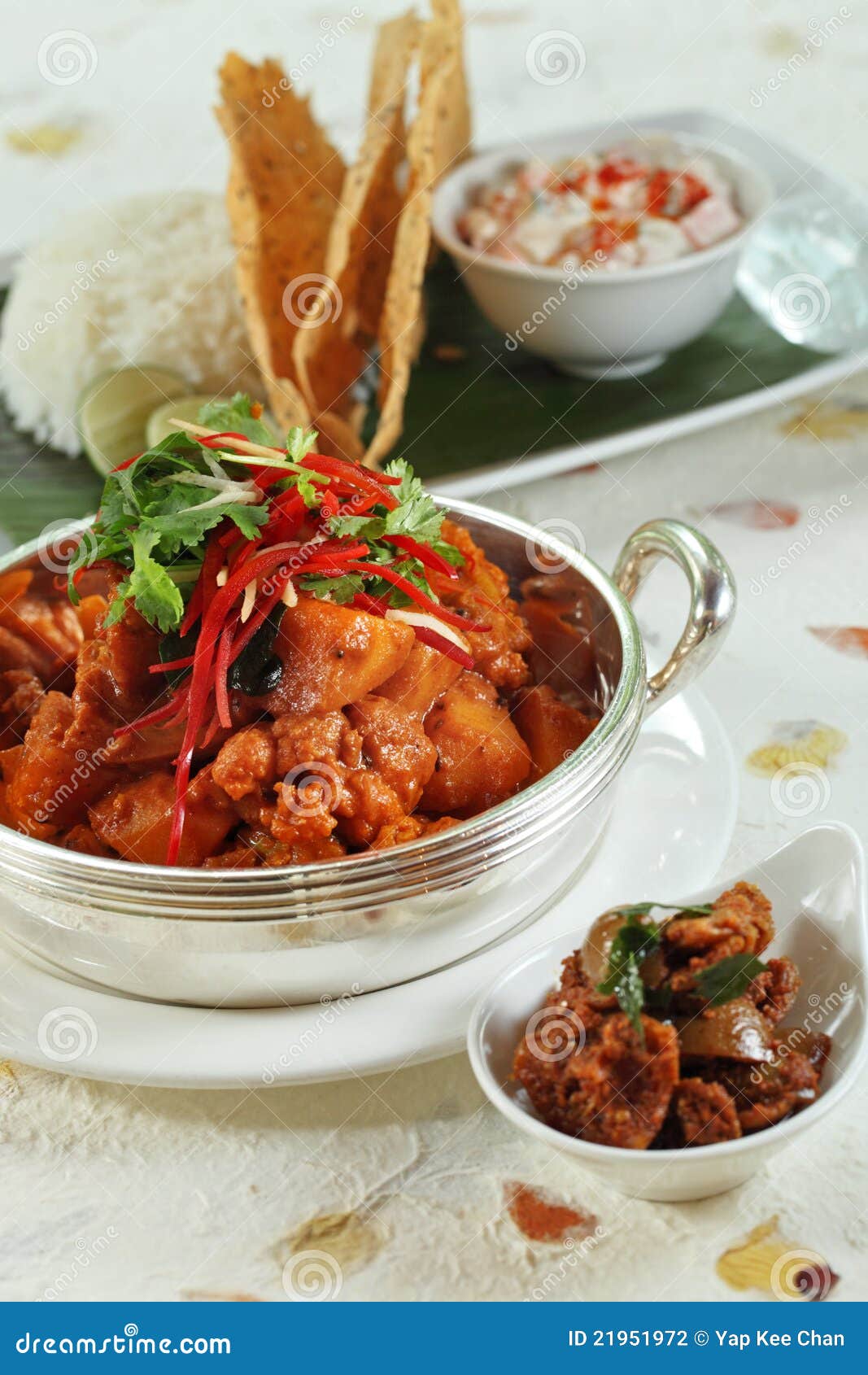 Indian meal food stock photo. Image of dish, food, meal - 21951972