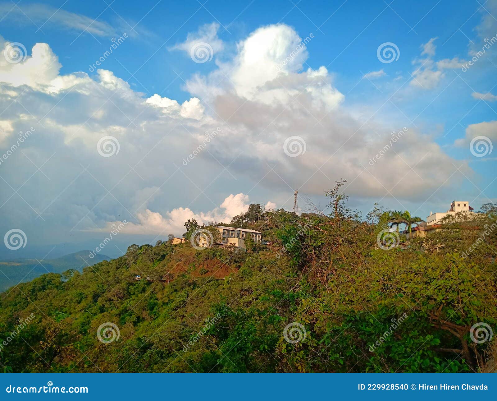Indian Natere- Saputara Hill Station Stock Photo - Image of flower ...