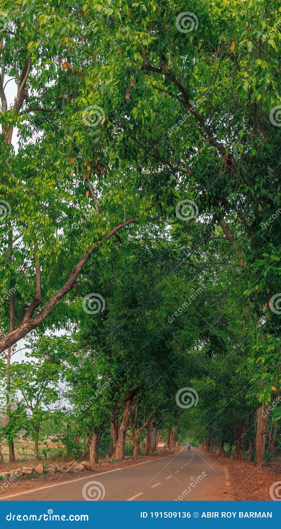 Indian National Highway. stock photo. Image of roads - 191509136