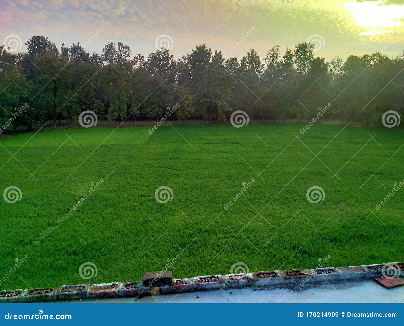 Indian Natural Environment in Evening with Greenery and Sun Stock Image ...
