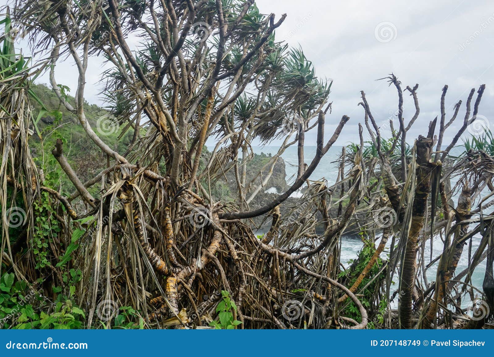 Indian Ocean Coast in the South of Java Island in Indonesia Stock Image ...