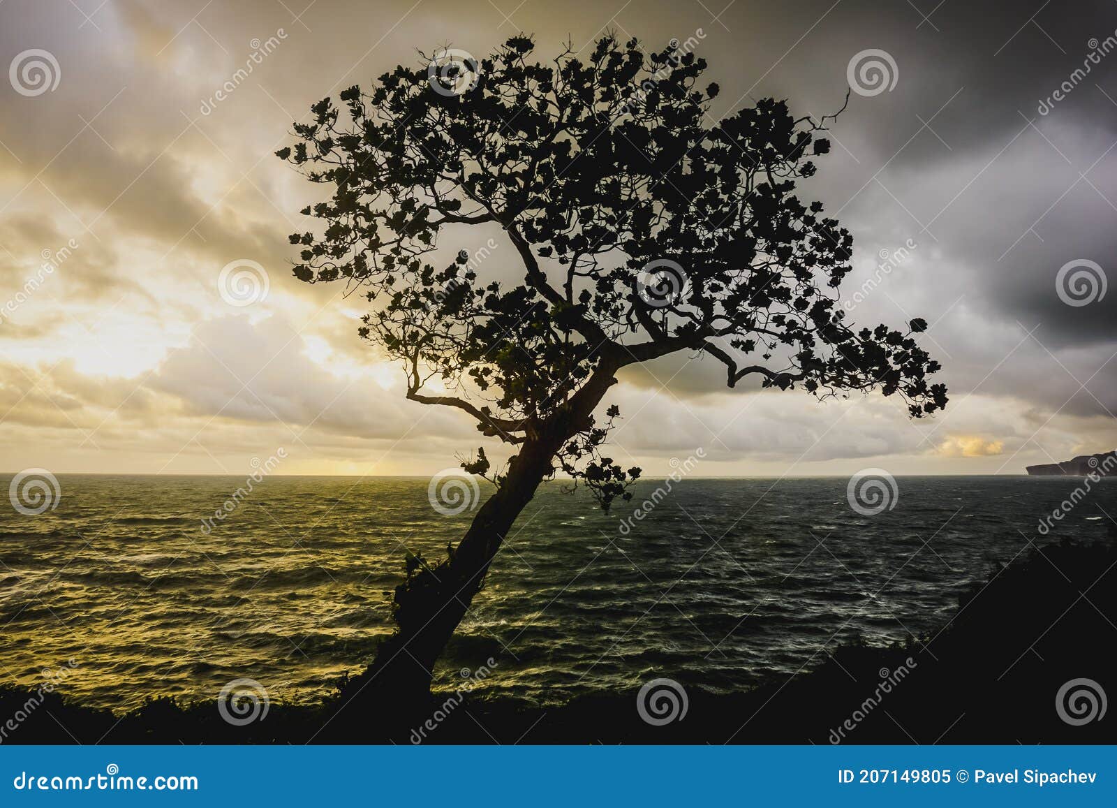 Indian Ocean Coast in the South of Java Island in Indonesia Stock Image ...