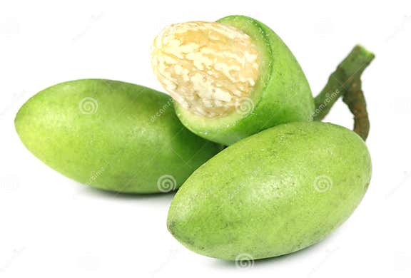 Indian olive stock image. Image of fruit, plant, copy - 27150963